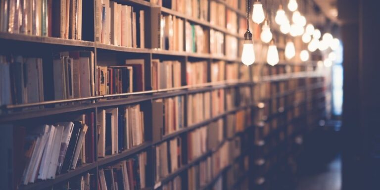 Top Livres 2024 : les meilleurs livres de poche 2024 - Bulles de Culture