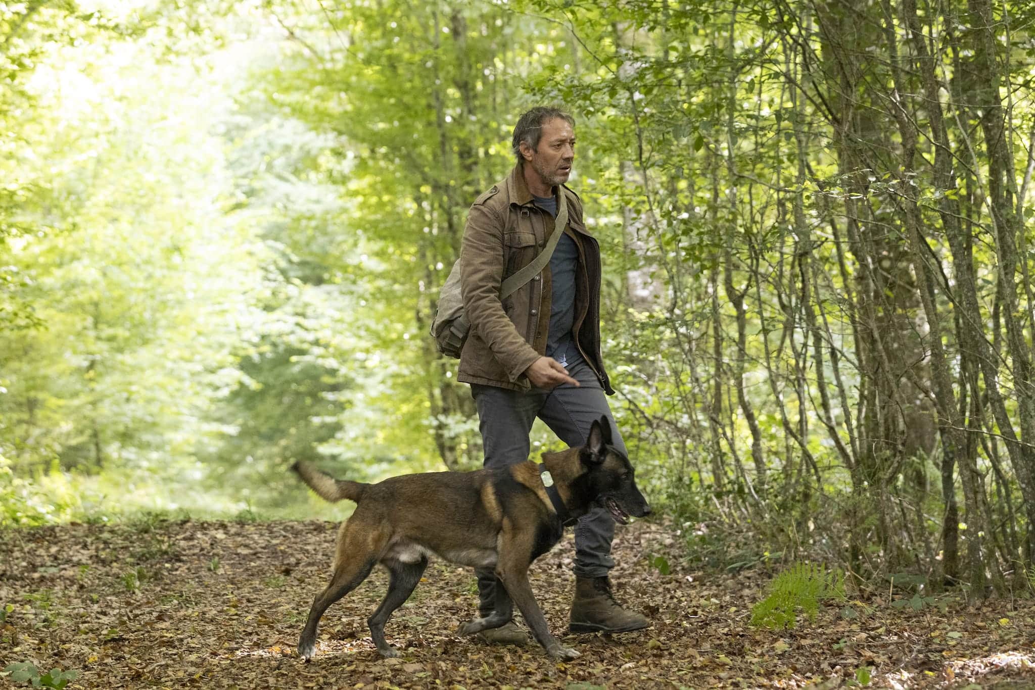 "Le voyageur" ce soir sur France 3 : épisode "La femme oubliée" avec Bruno Debrandt - Bulles de ...